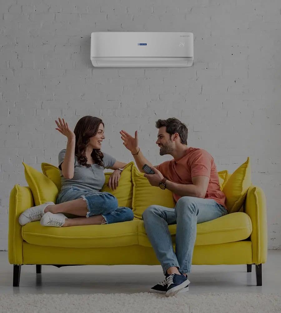 HVAC Solutions, Heat Pumps, Commercial AC by Blue Star